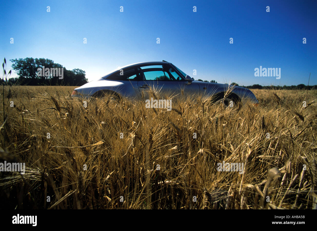 Sports car in corn field Stock Photo - Alamy