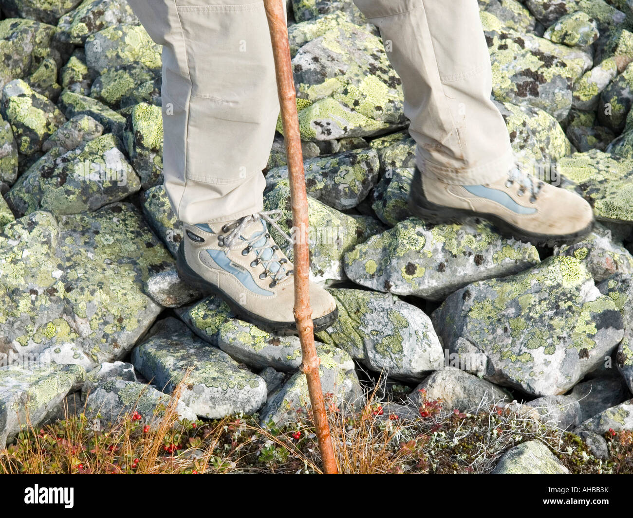 detail of woman legs in trekking shoes on stony boulders on fell in ...