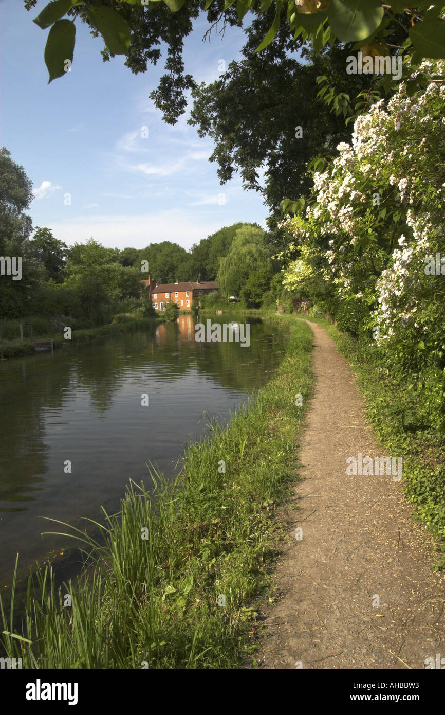 The river Itchen at Winchester Stock Photo - Alamy