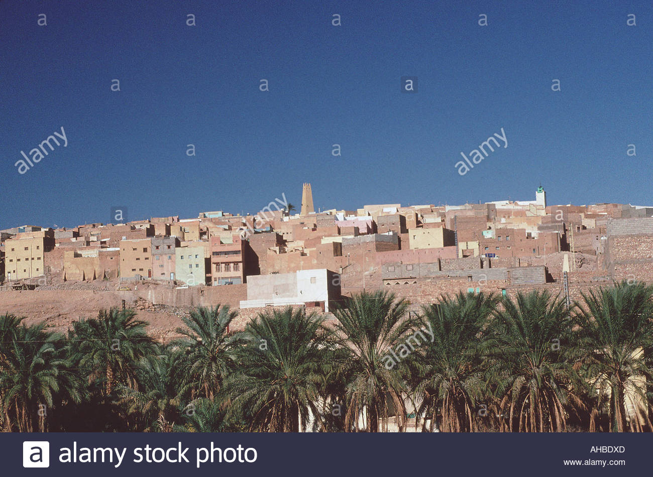 Ghardaia Oasis Ghardaia Algeria Stock Photos & Ghardaia Oasis Ghardaia ...