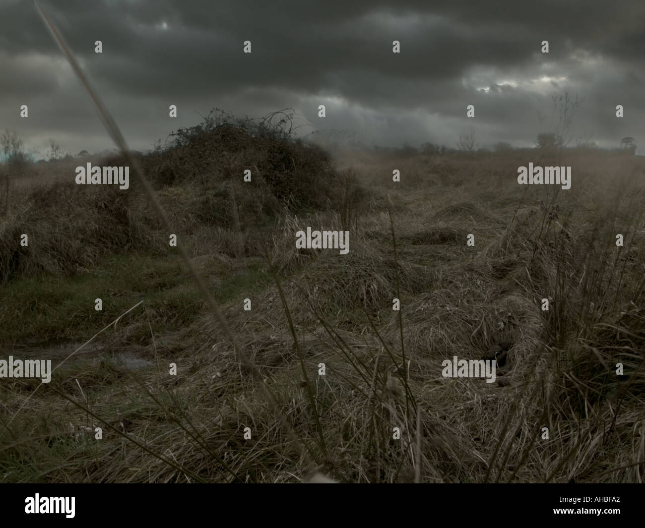 Stormy evening at the bog Stock Photo - Alamy