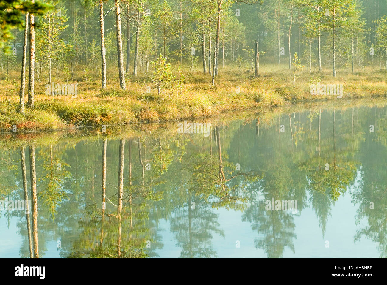 dispersial of mist in morning at a lake in Finland Stock Photo - Alamy