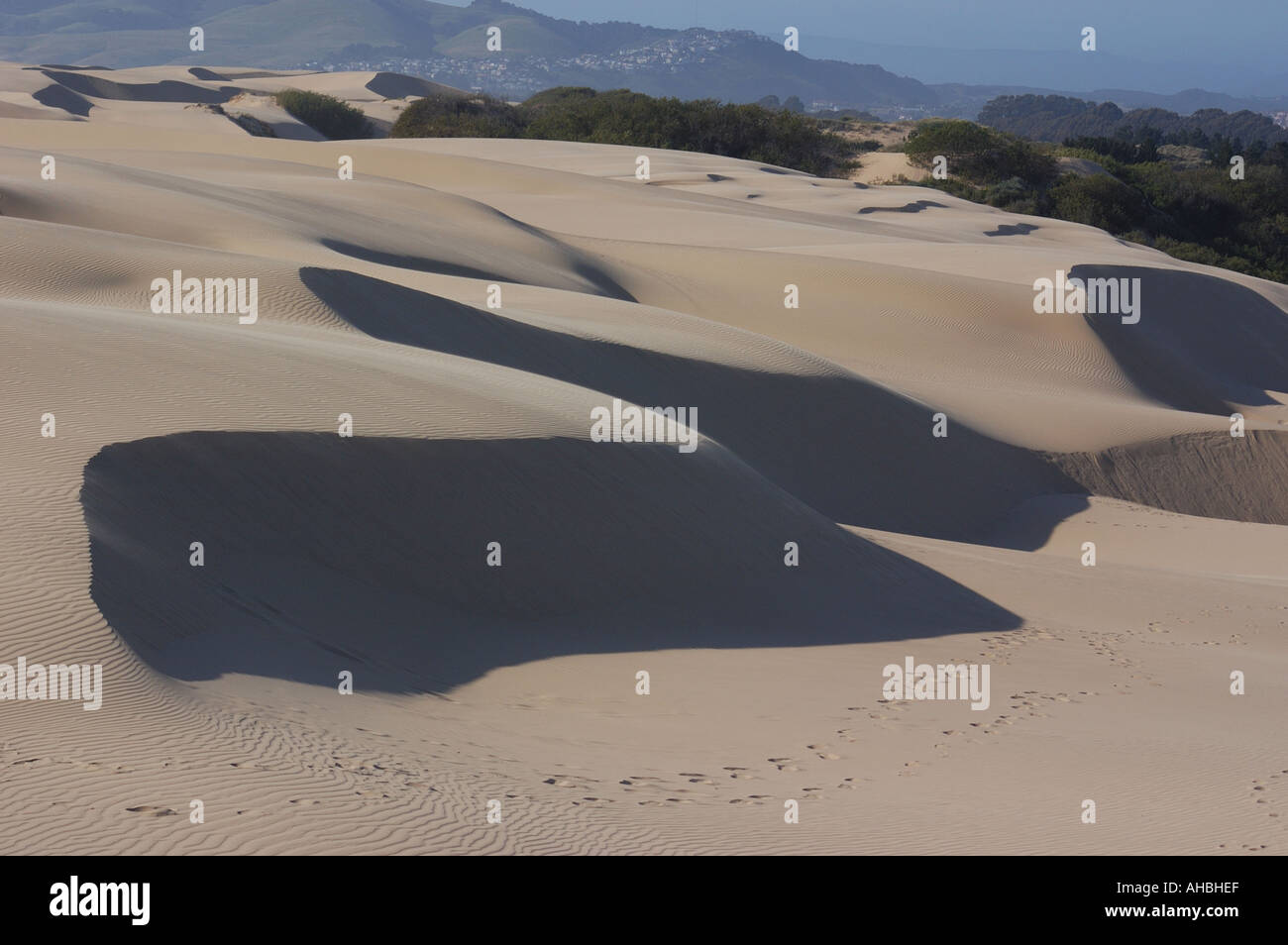 Oceano Sand Dunes Stock Photo - Alamy
