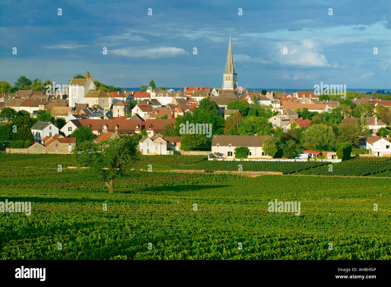 Meursault village hi-res stock photography and images - Alamy