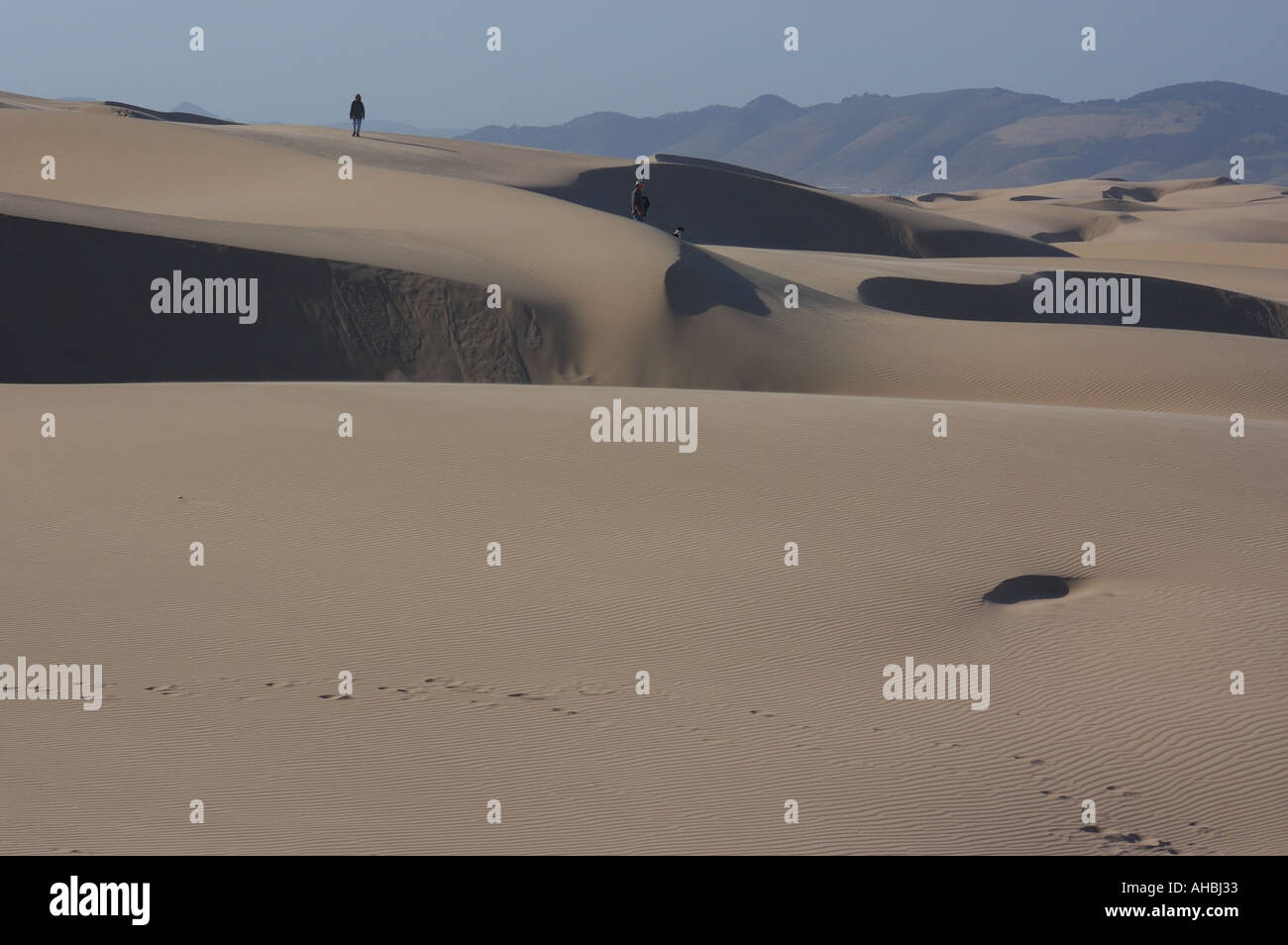 Oceano Sand Dunes Stock Photo - Alamy