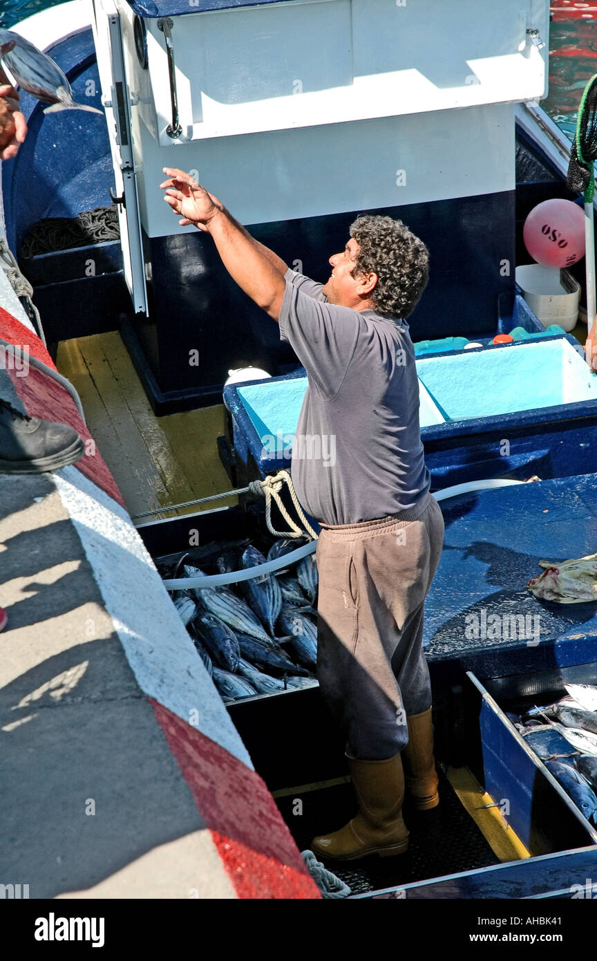 Landing the Catch 2 Stock Photo - Alamy