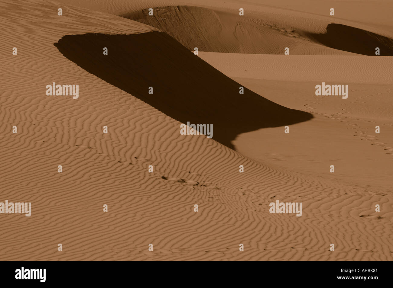 Oceano Sand Dunes Stock Photo - Alamy