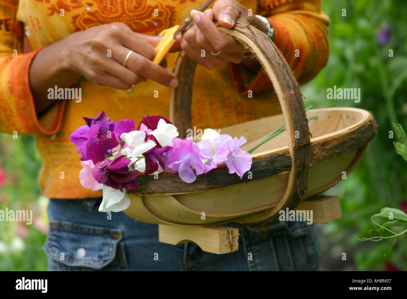 Woman garden basket flowers cutting hi-res stock photography and images ...