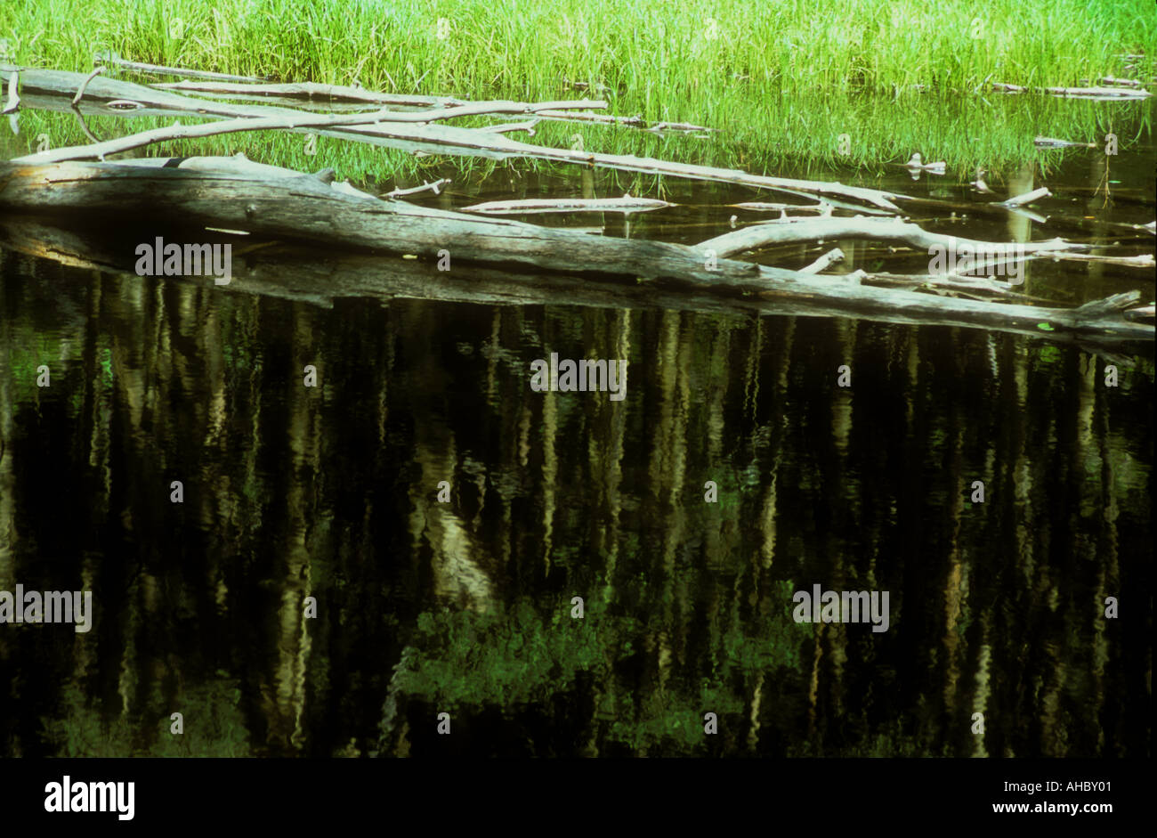 Alpine pond and mountains hi-res stock photography and images - Alamy