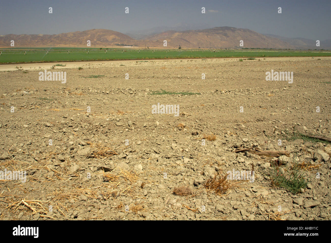Unplanted High Resolution Stock Photography and Images - Alamy