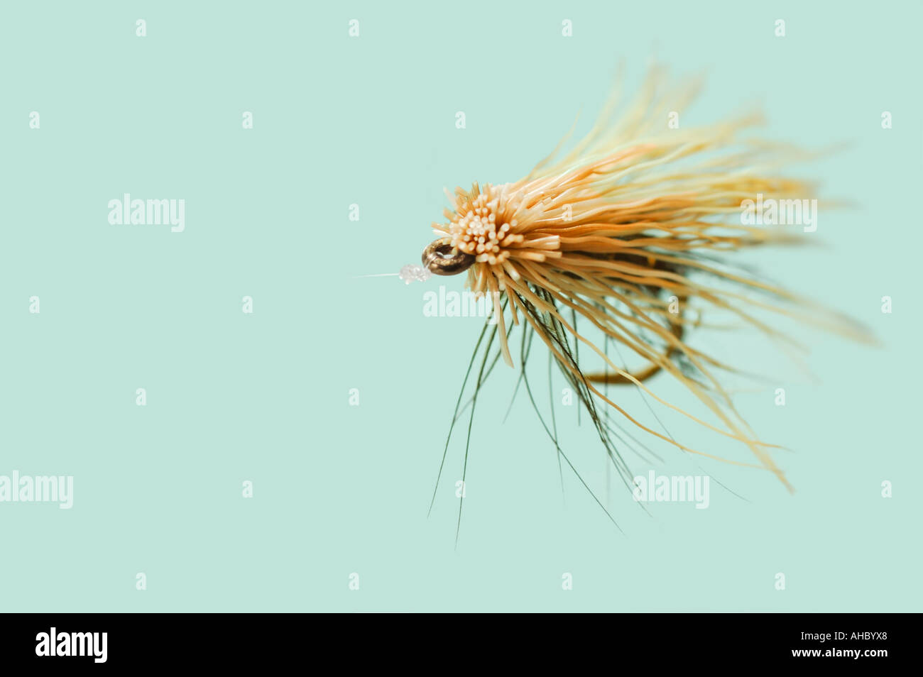 What Is A Caddis Fly Fishing at Gail Gaskell blog