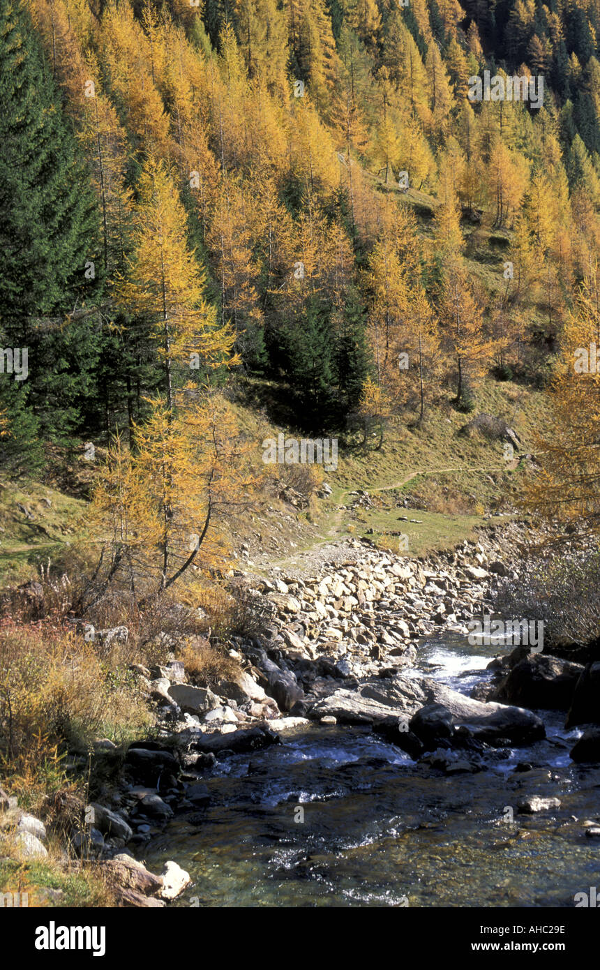 Val di rabbi hi-res stock photography and images - Alamy