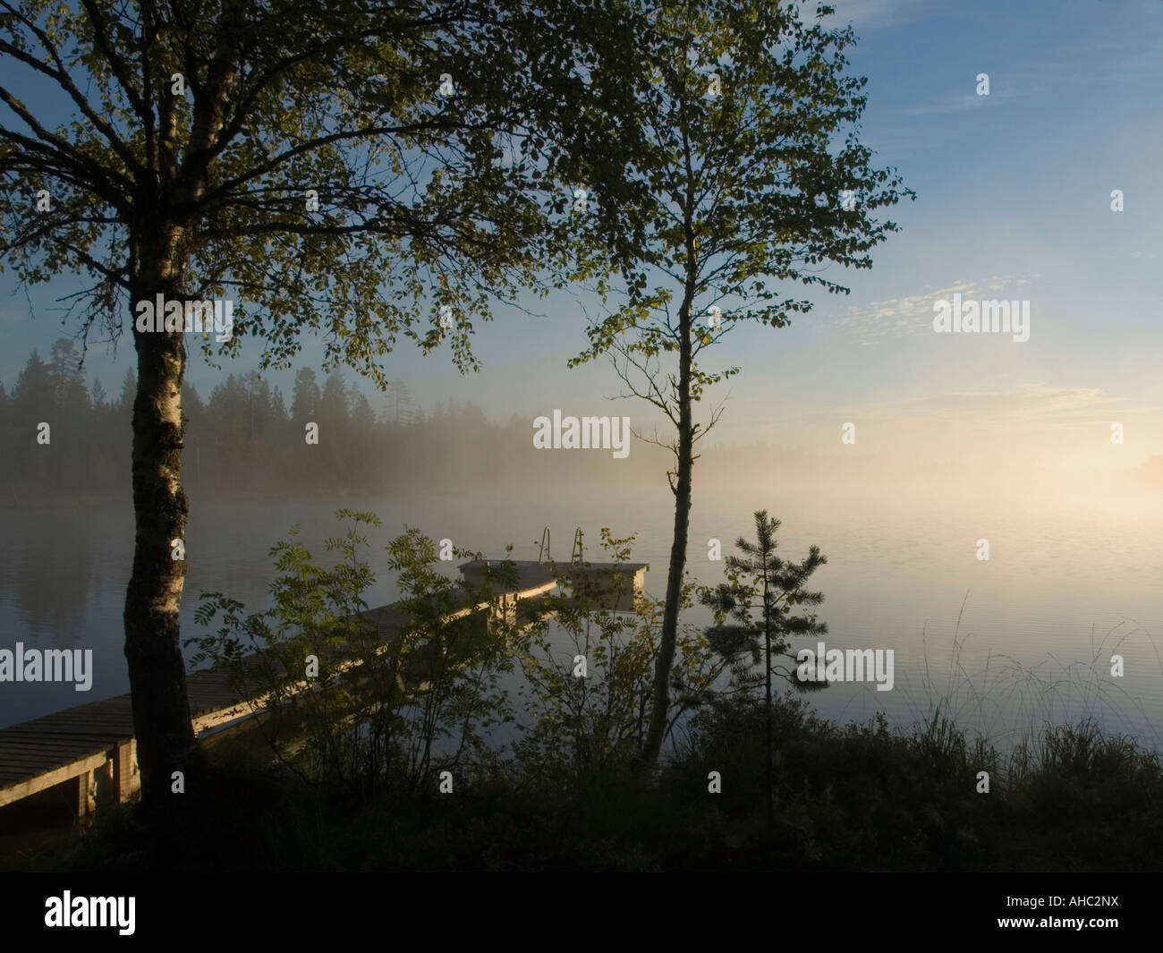 dispersial of mist in morning at a lake in Finland Stock Photo - Alamy