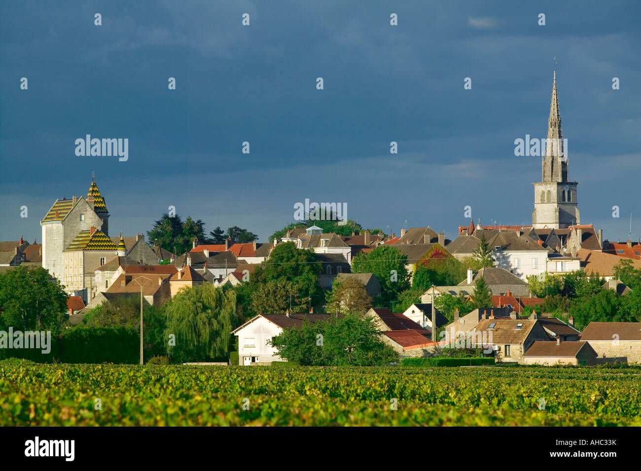 MEURSAULT - VINEYARDS - BURGUNDY - FRANCE Stock Photo - Alamy