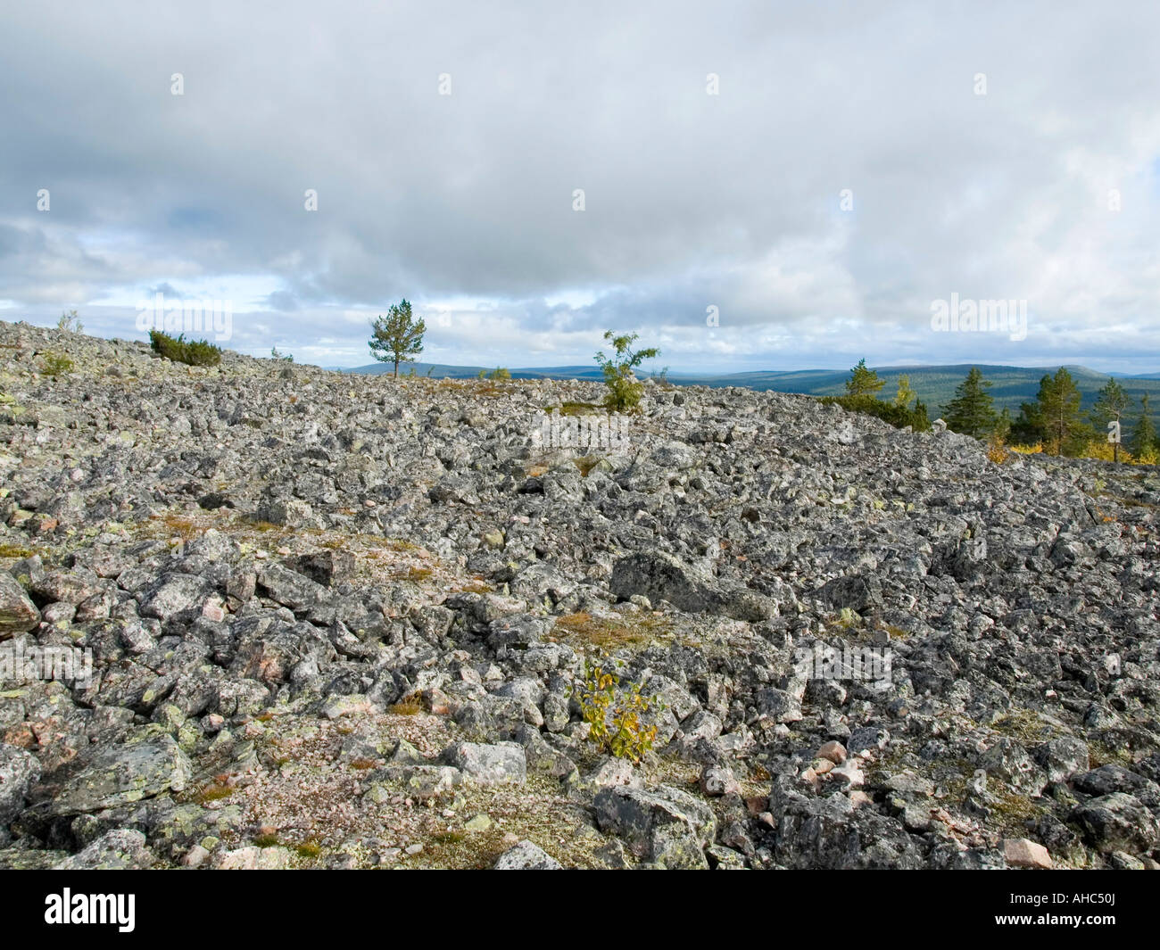 stones on fell in Akaslompolo Lapland Finland Stock Photo - Alamy