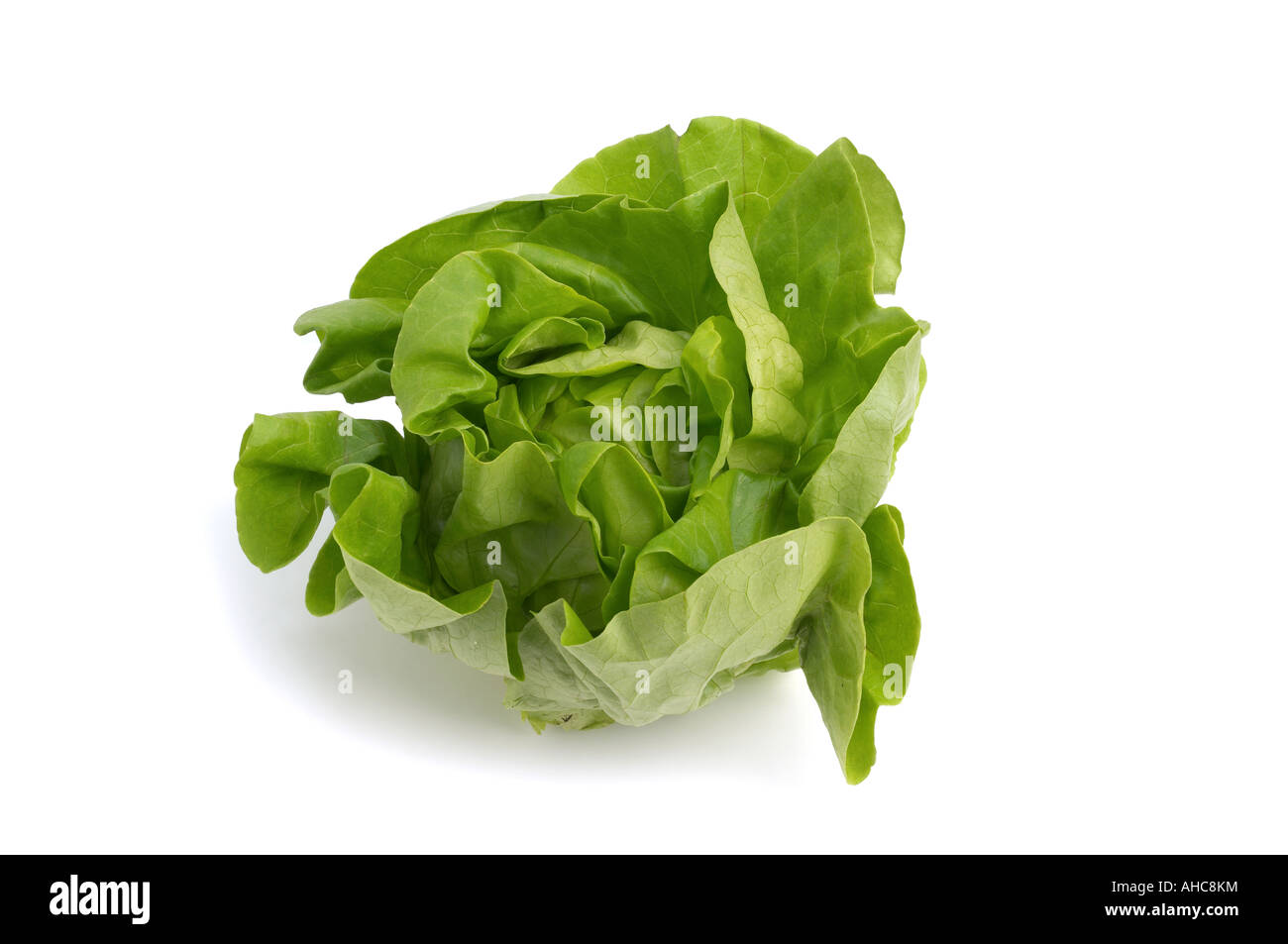 Round lettuce hi-res stock photography and images - Alamy