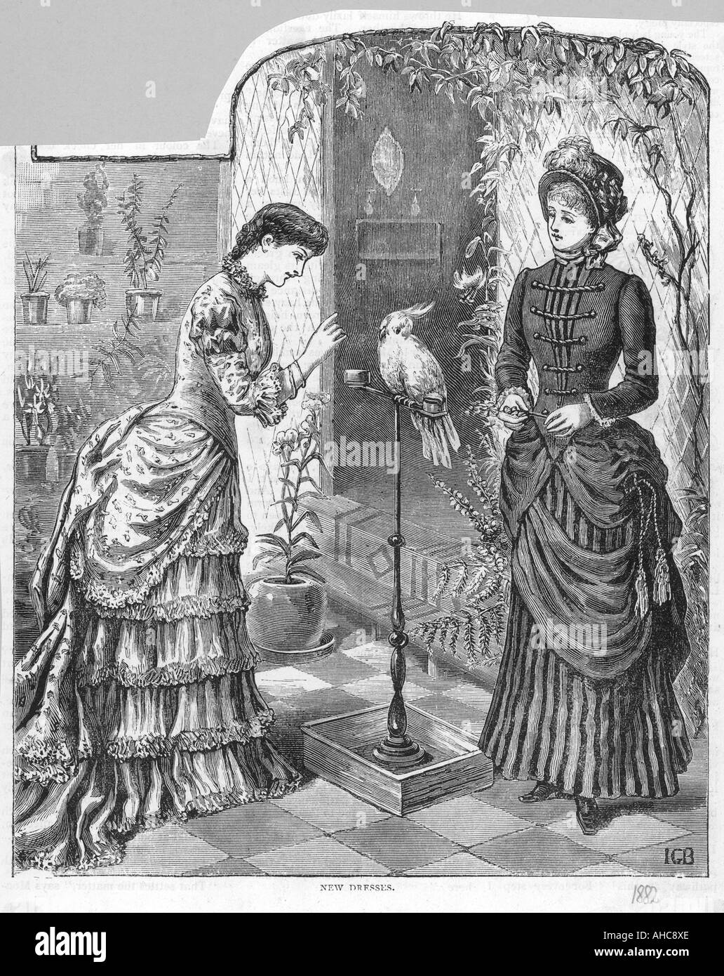 Parrot in costume hi-res stock photography and images - Alamy