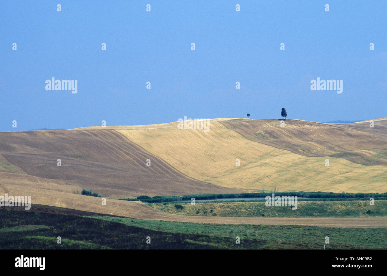 Weath field hi-res stock photography and images - Alamy