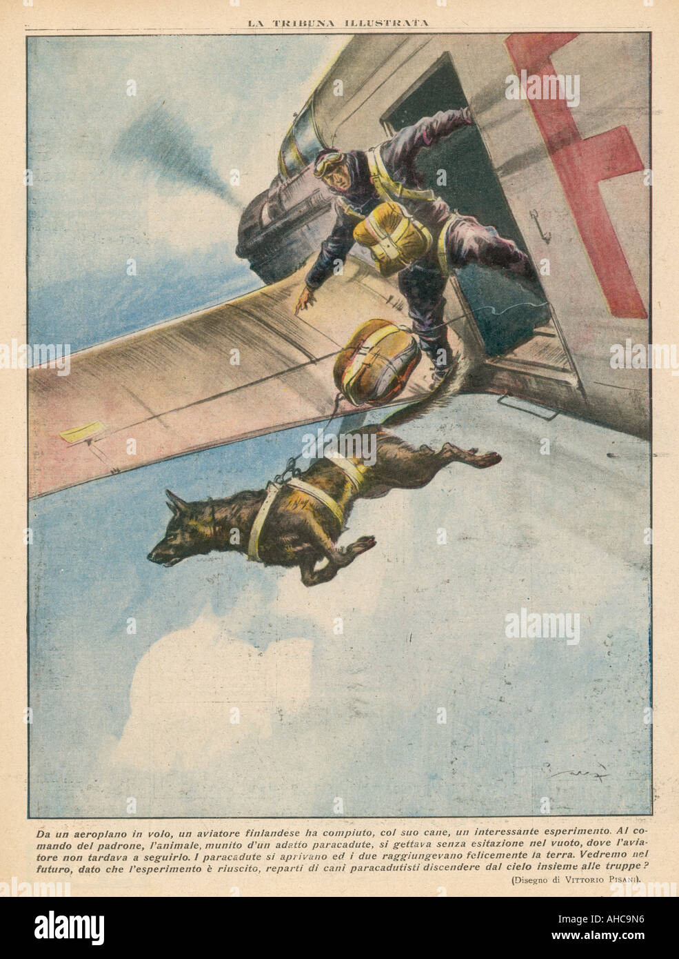 Parachute dog hi-res stock photography and images - Alamy