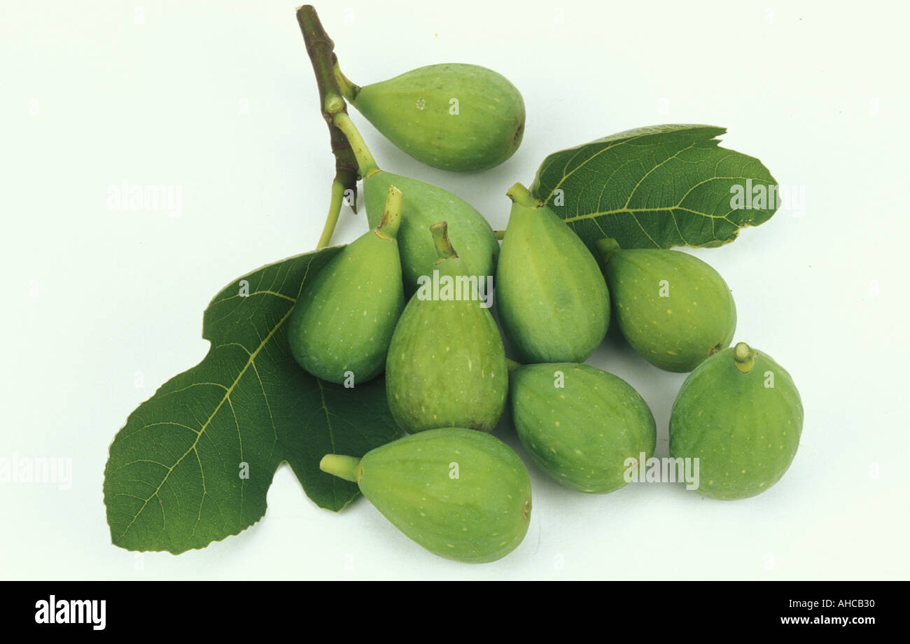 Ficus Carica Figs Italy Stock Photo - Alamy