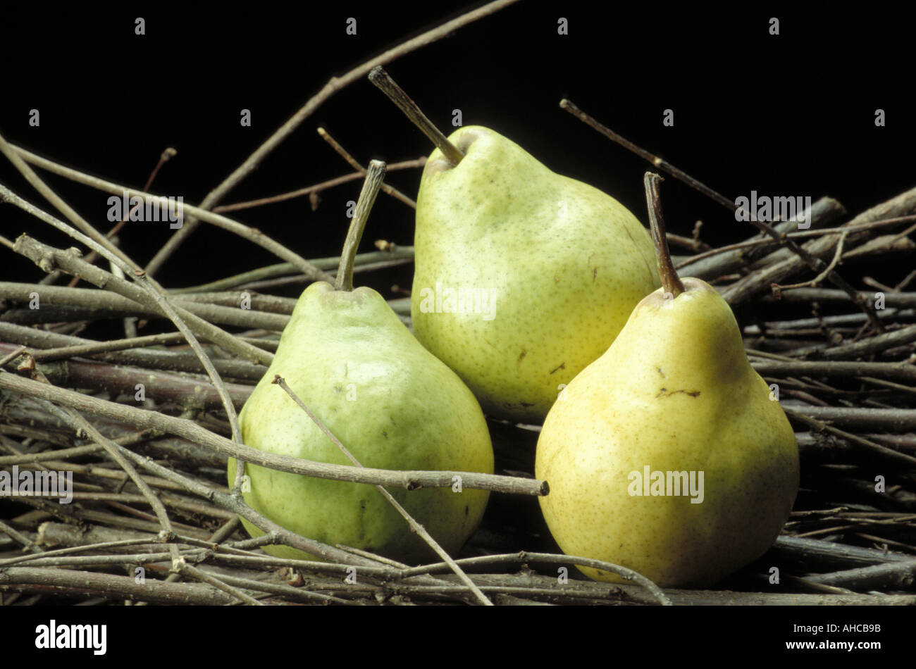 William pears hi-res stock photography and images - Alamy