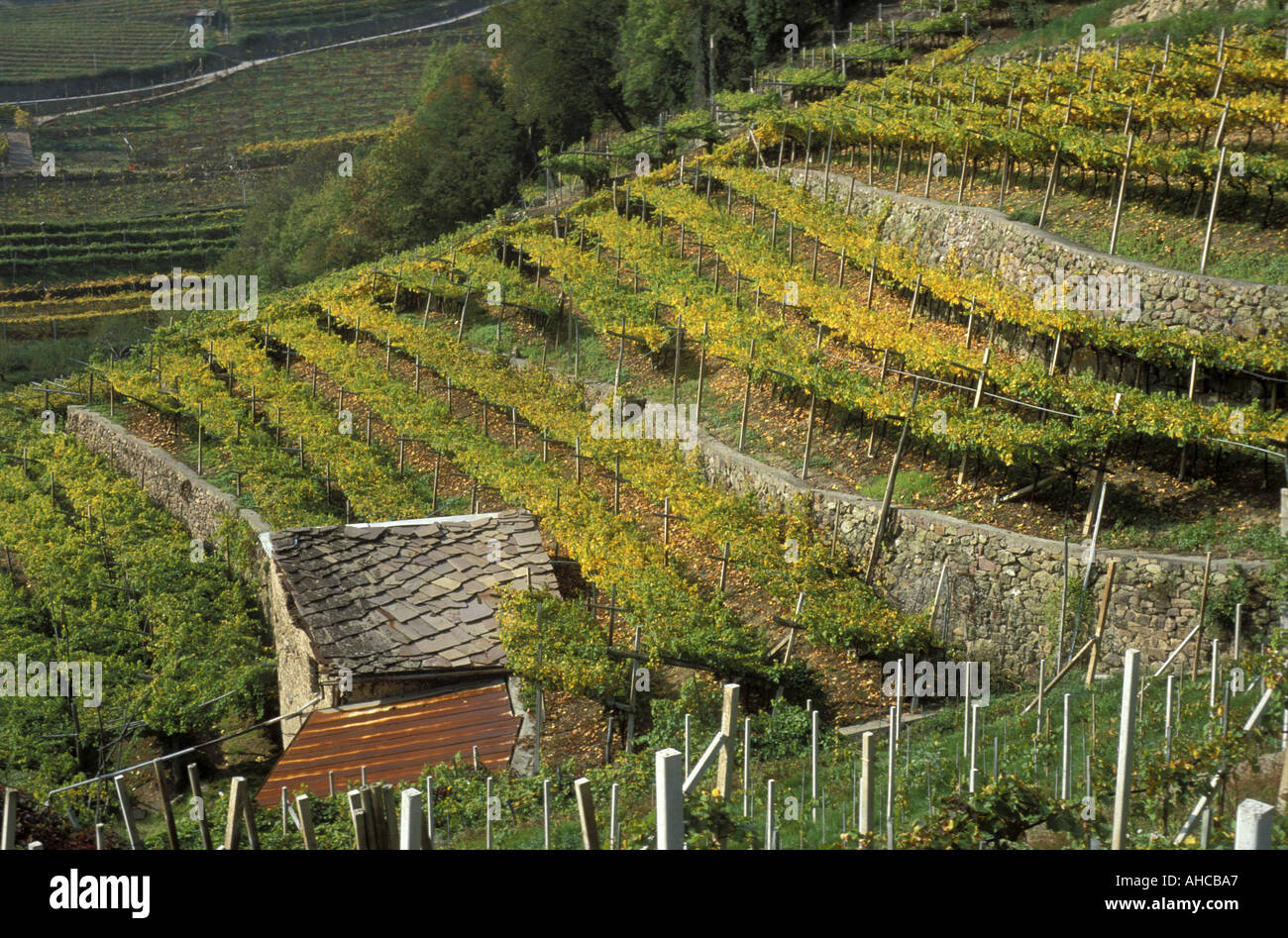 Val di cembra hi-res stock photography and images - Alamy
