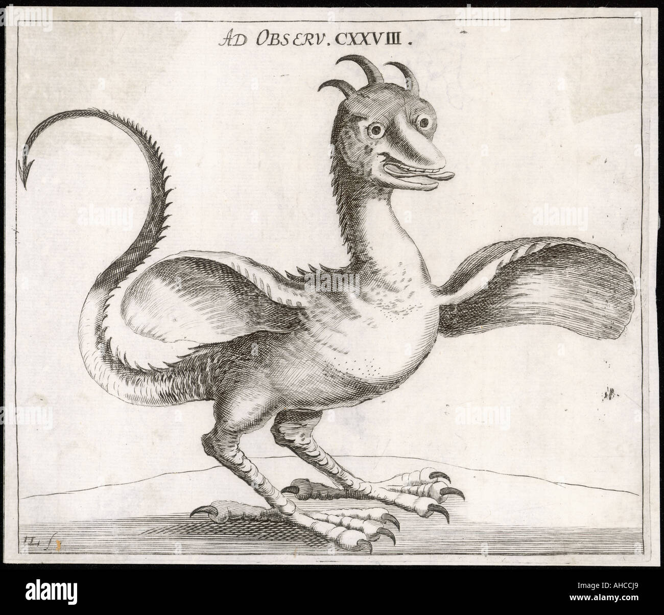 1671 basilisk depicted with wings hi-res stock photography and images ...