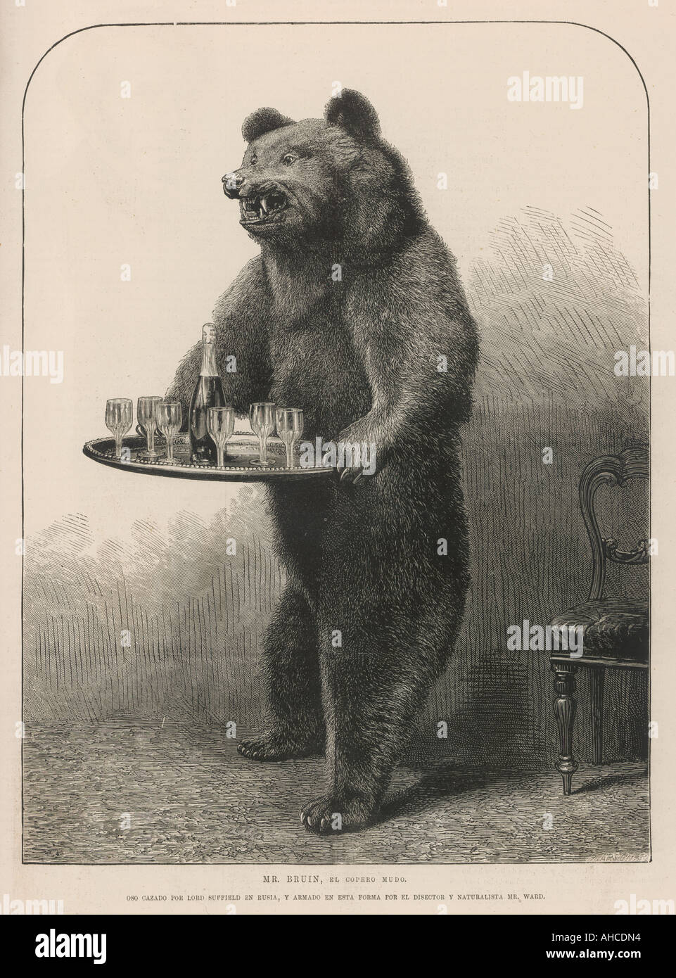 Dumb waiter hi-res stock photography and images - Alamy