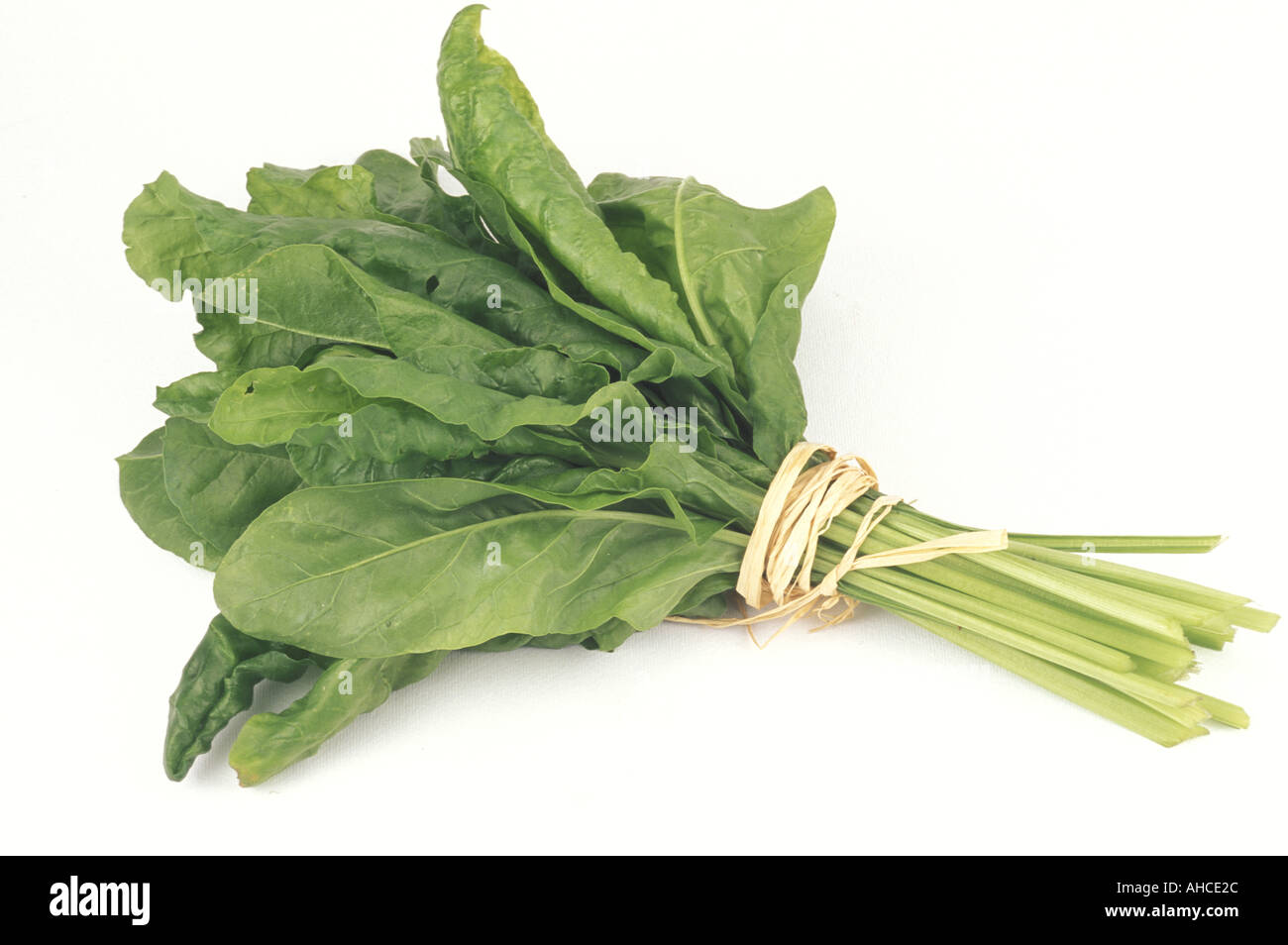 Beta Vulgaris Italy Stock Photo - Alamy