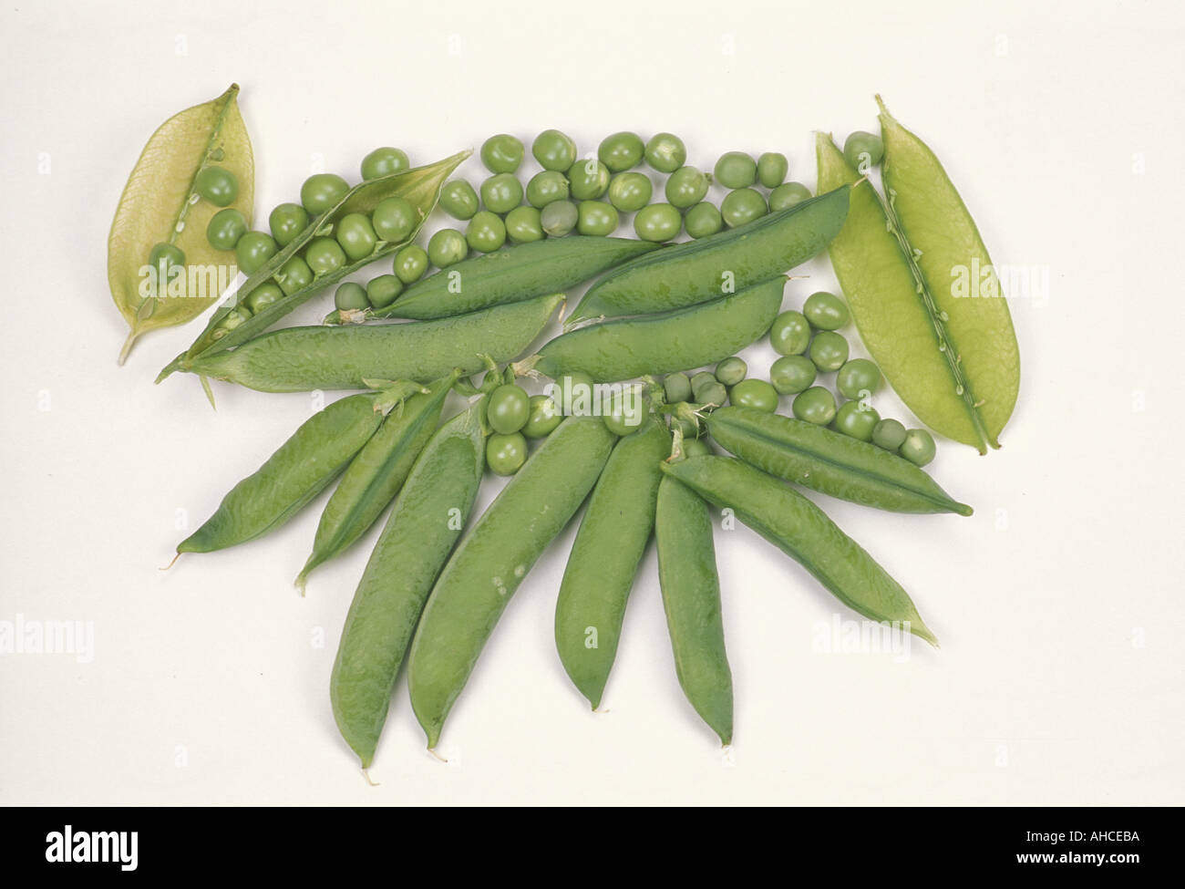 Pisum Sativum Peas Italy Stock Photo - Alamy
