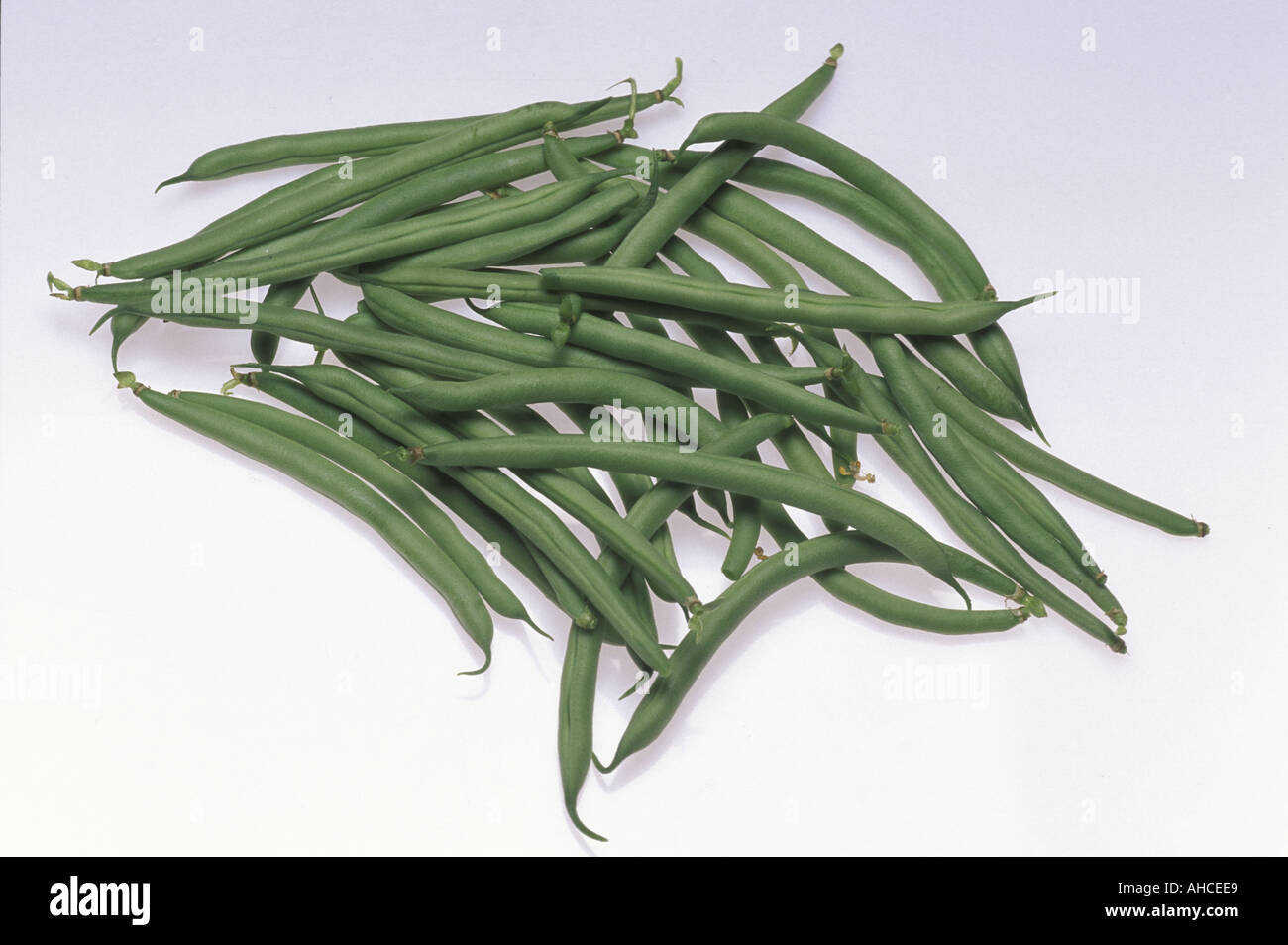 Phaseolus Vulgaris French bean Italy Stock Photo - Alamy