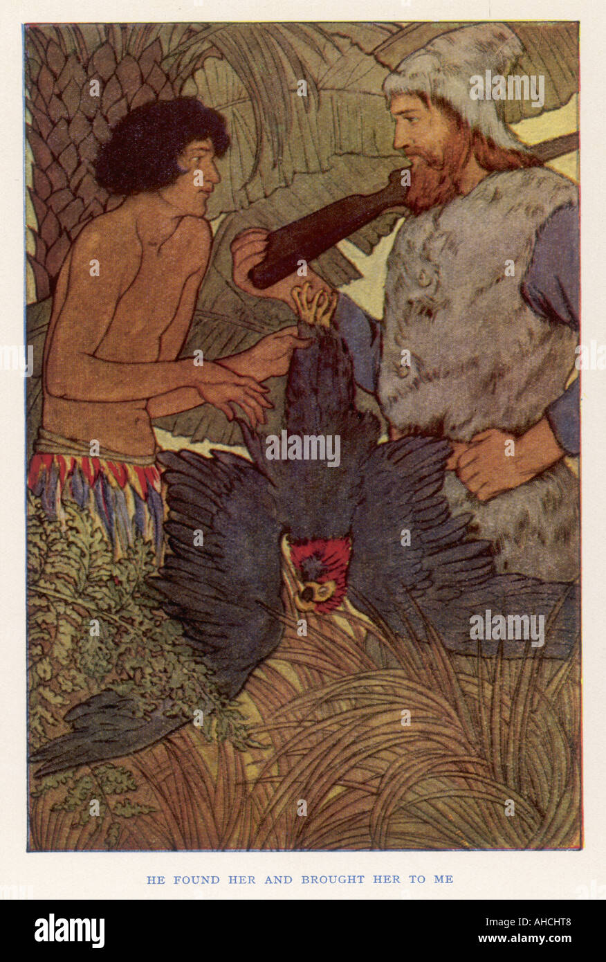 Dead parrot hi-res stock photography and images - Alamy