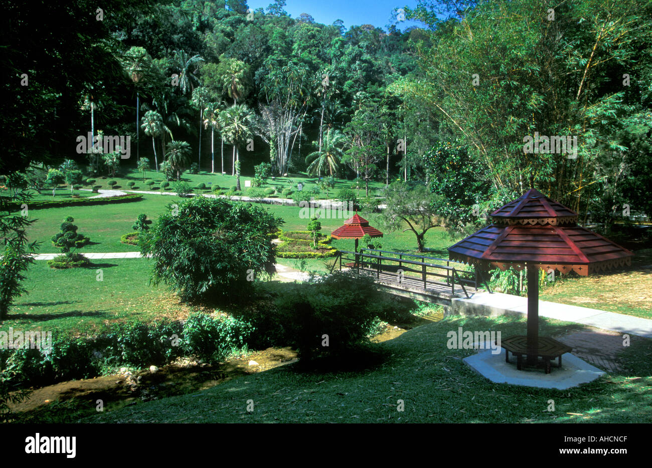 Penang Botanic Gardens Georgetown Penang Malaysia Stock Photo - Alamy