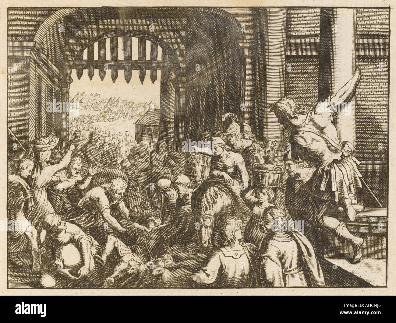 The misunderstood hi-res stock photography and images - Alamy