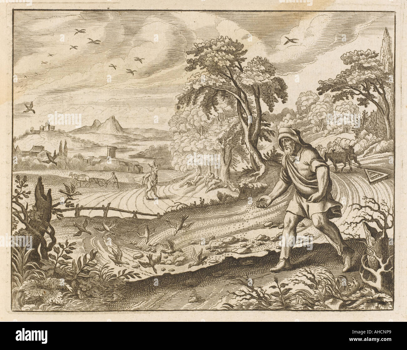 Parable Of The Sower Stock Photo - Alamy