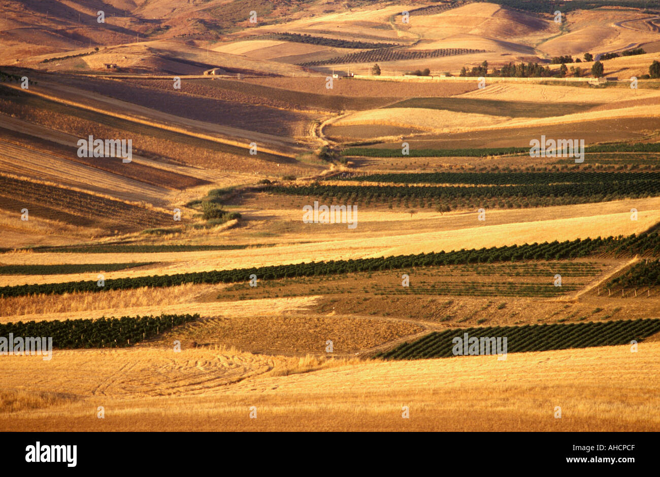 Sicilian land hi-res stock photography and images - Alamy