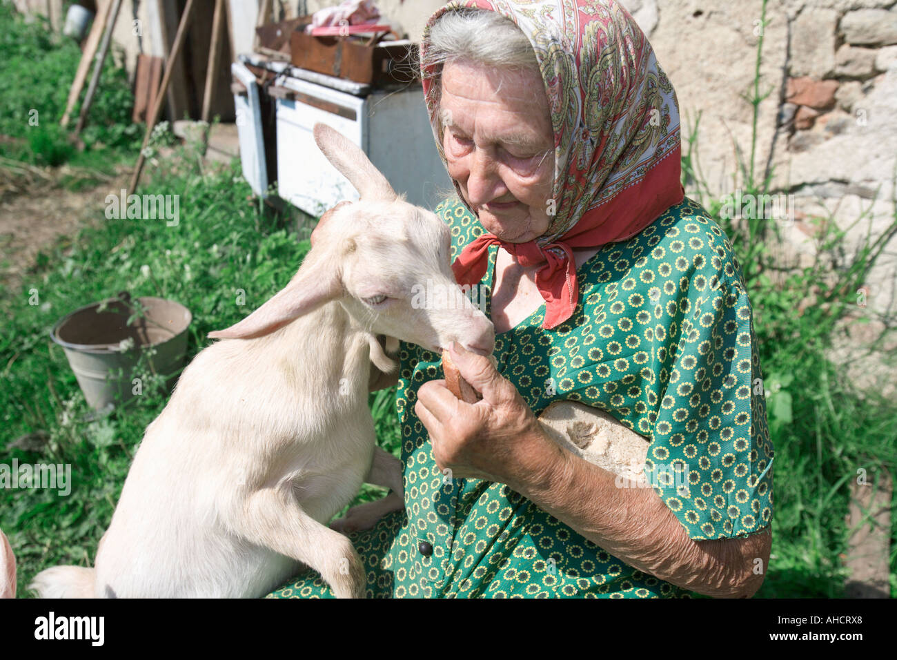 Woman Breastfeeding Goat