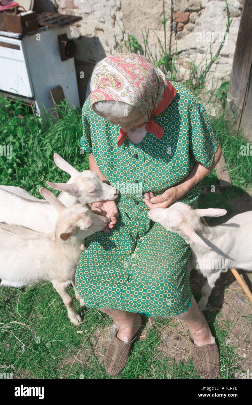 WOMAN FEEDING GOATS Stock Photo - Alamy