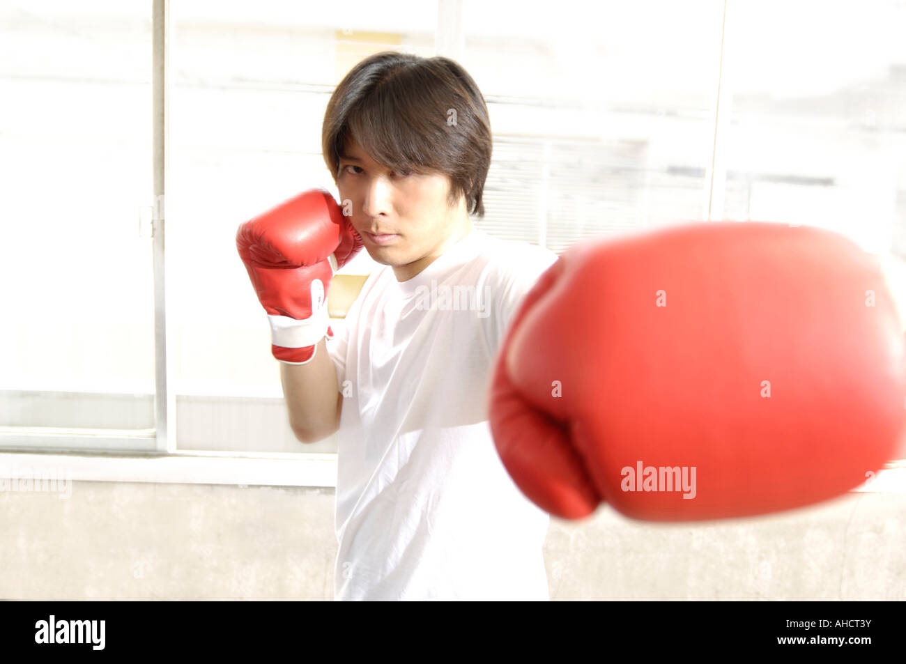 Japanese boxer hi-res stock photography and images - Alamy