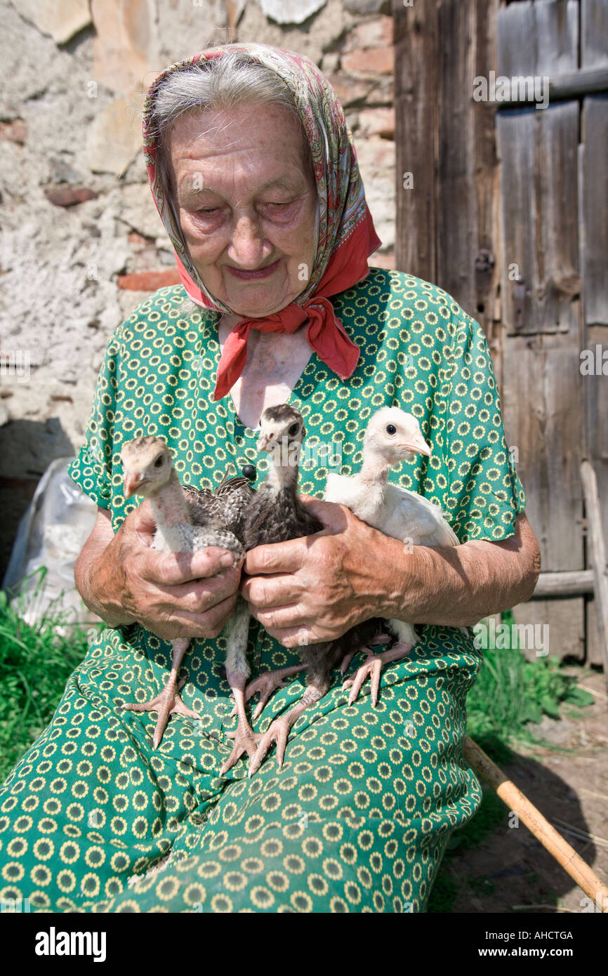 Woman feeding turkeys hi-res stock photography and images - Alamy
