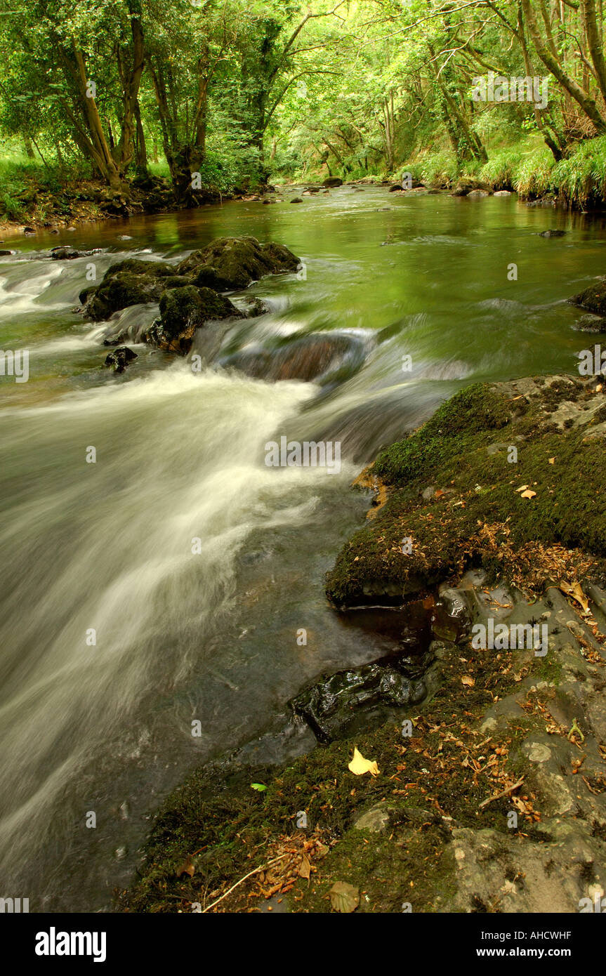 Upright portrait format River Teign at Fingle Bridge Dartmoor South ...