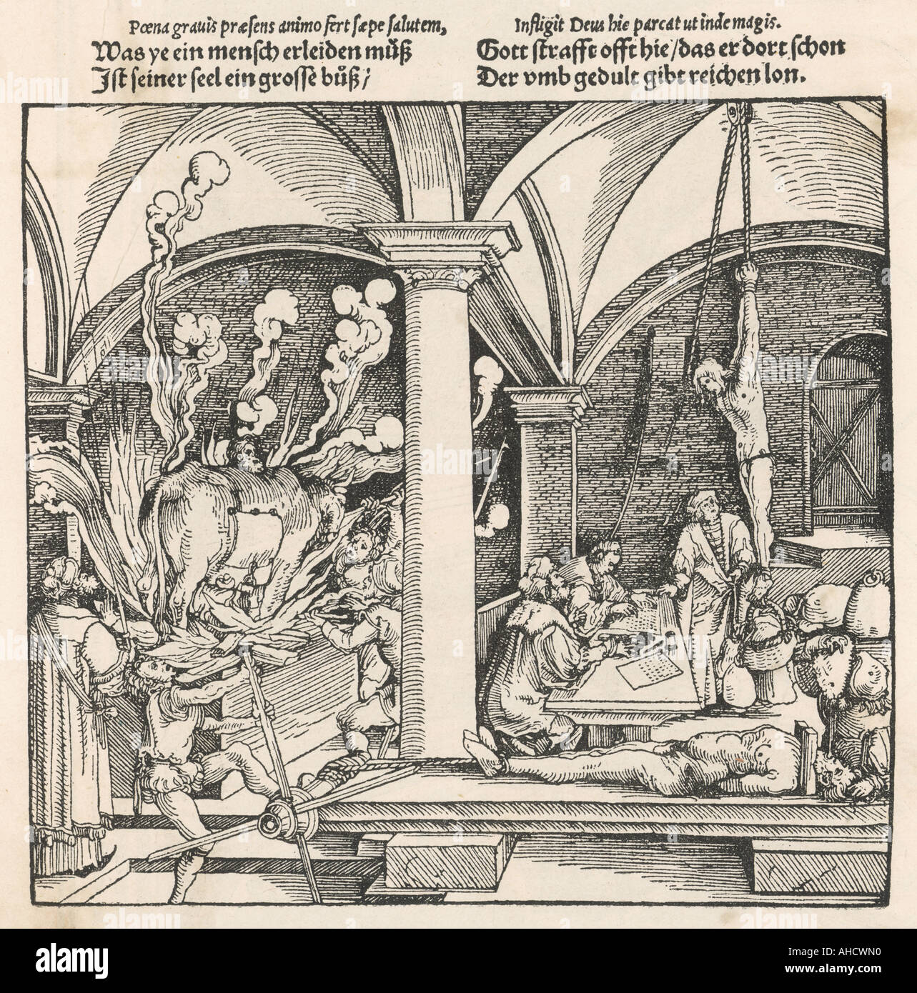 Brazen Bull Stock Photos & Brazen Bull Stock Images - Alamy