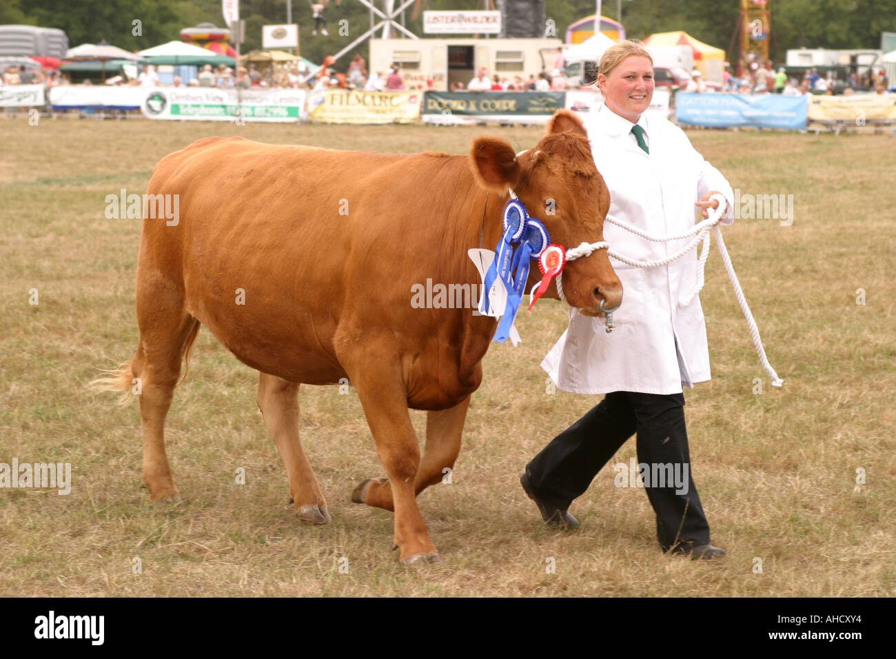 The Cranleigh Show August 2006 Stock Photo - Alamy