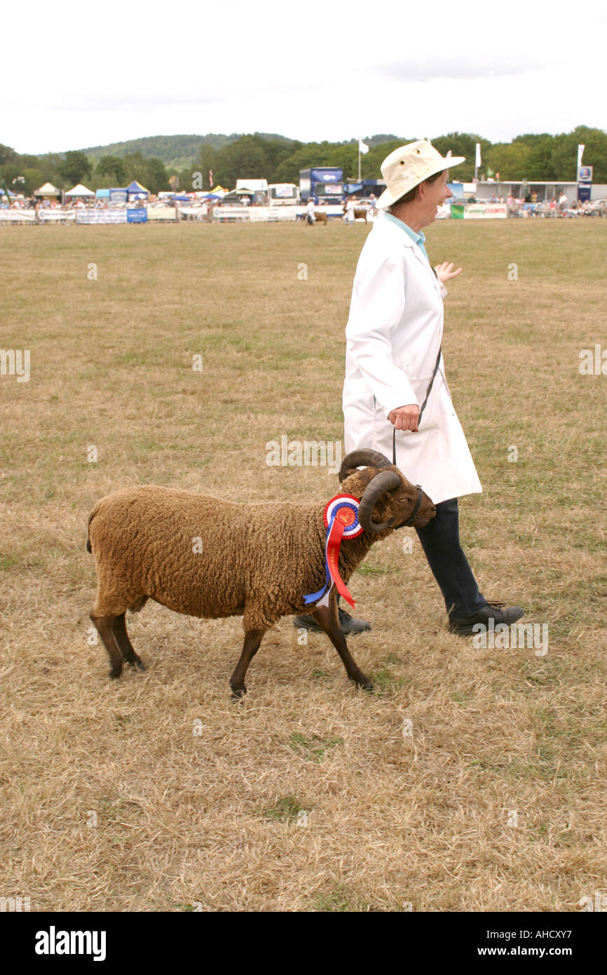 The Cranleigh Show August 2006 Stock Photo - Alamy