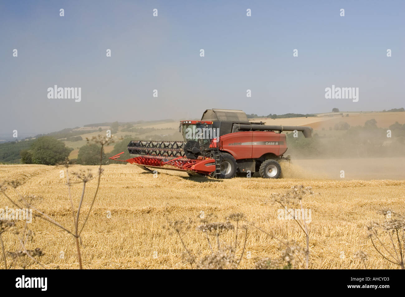 Red combine harvester working in Cotswolds near Winchcombe UK Stock ...