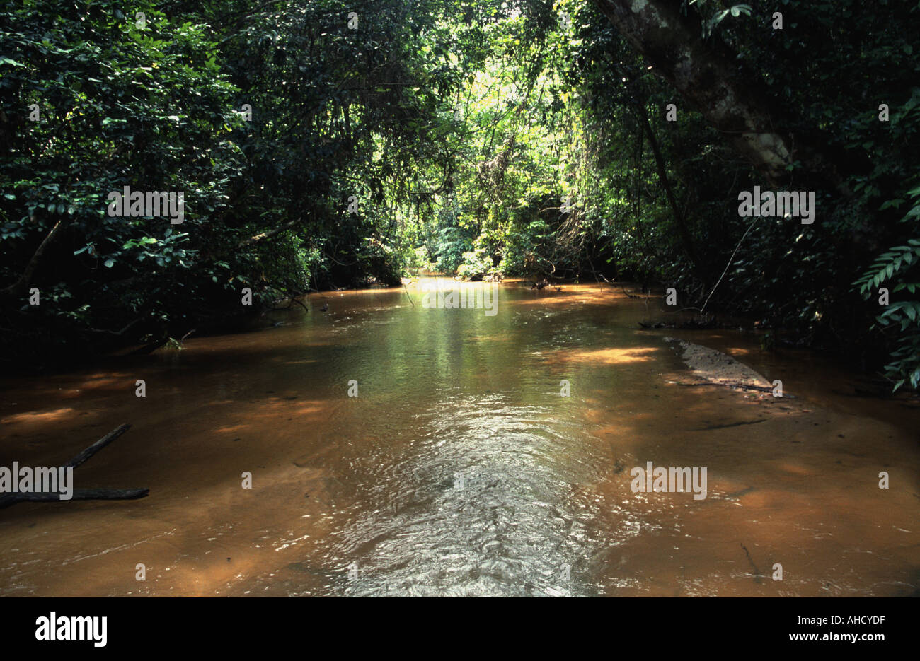 Congo river basin hi-res stock photography and images - Alamy
