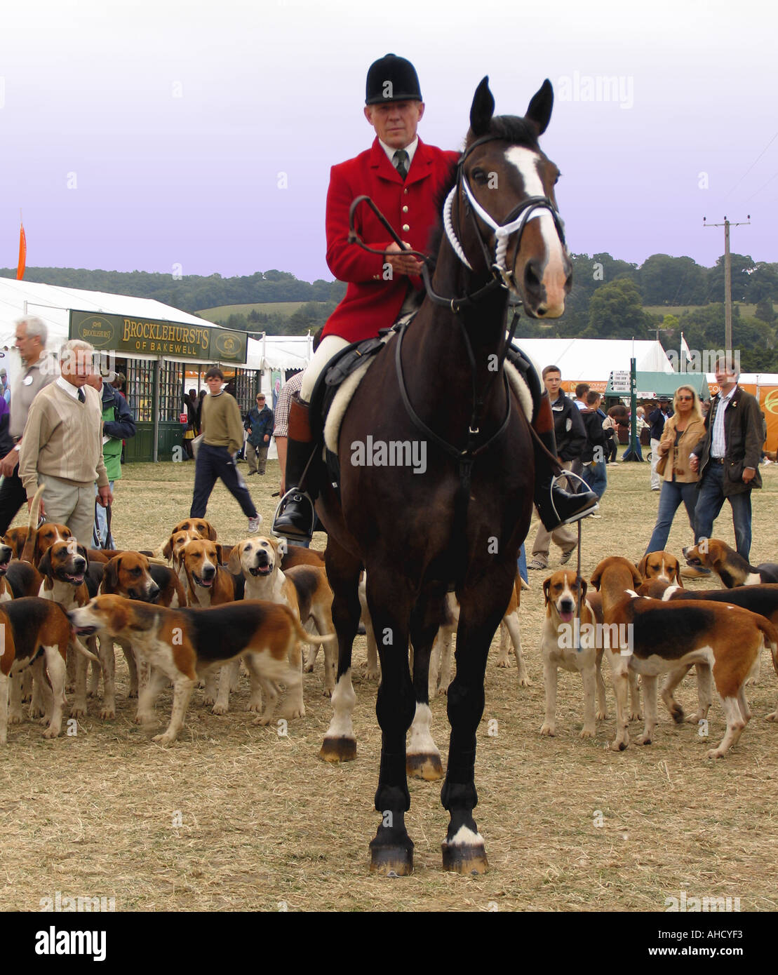 Belvoir hunt hi-res stock photography and images - Alamy