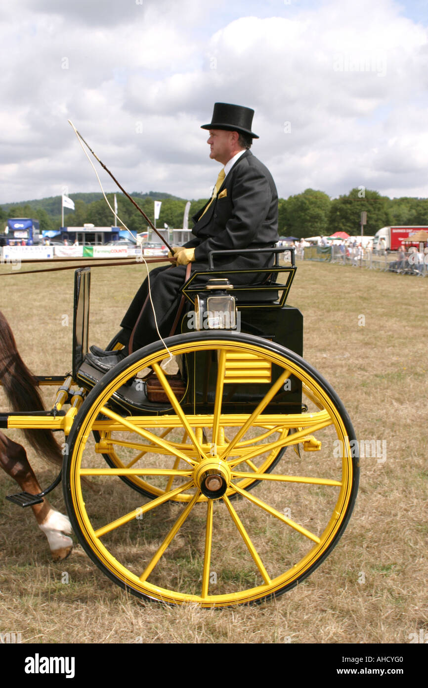 The Cranleigh Show August 2006 Stock Photo - Alamy