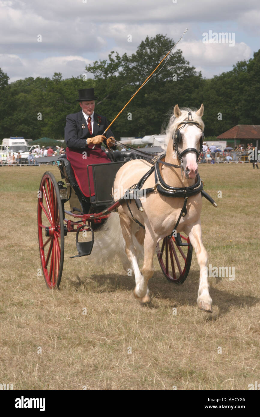 Cranleigh show hi-res stock photography and images - Alamy