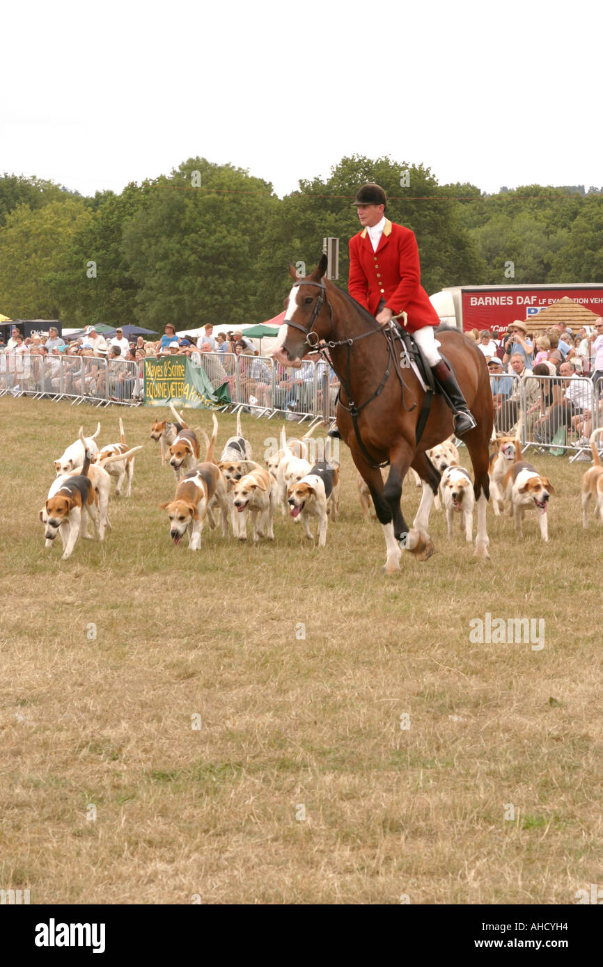 Master_of_foxhounds hi-res stock photography and images - Alamy